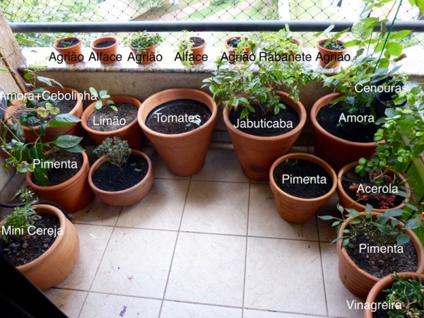 Projeto Horta na Varanda